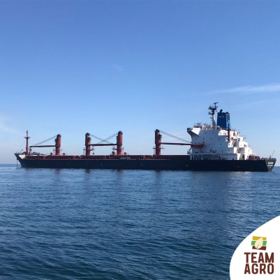 TEAM AGRO - Bizden Haberler